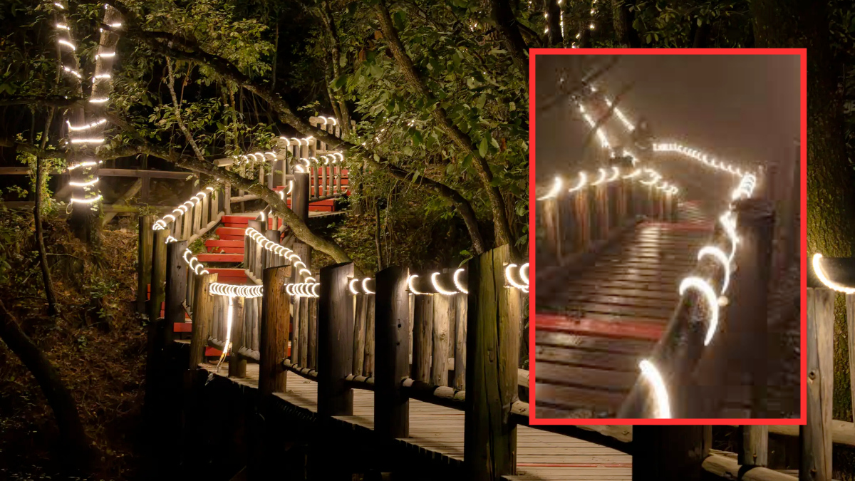Visita El Puente Iluminado De Chipinque Esta Navidad